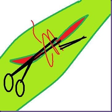 carol's scribbles: Suturing Banana(Edited version)